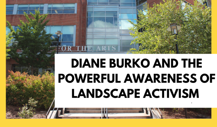 Diane Burko and the powerful awareness of landscape activism