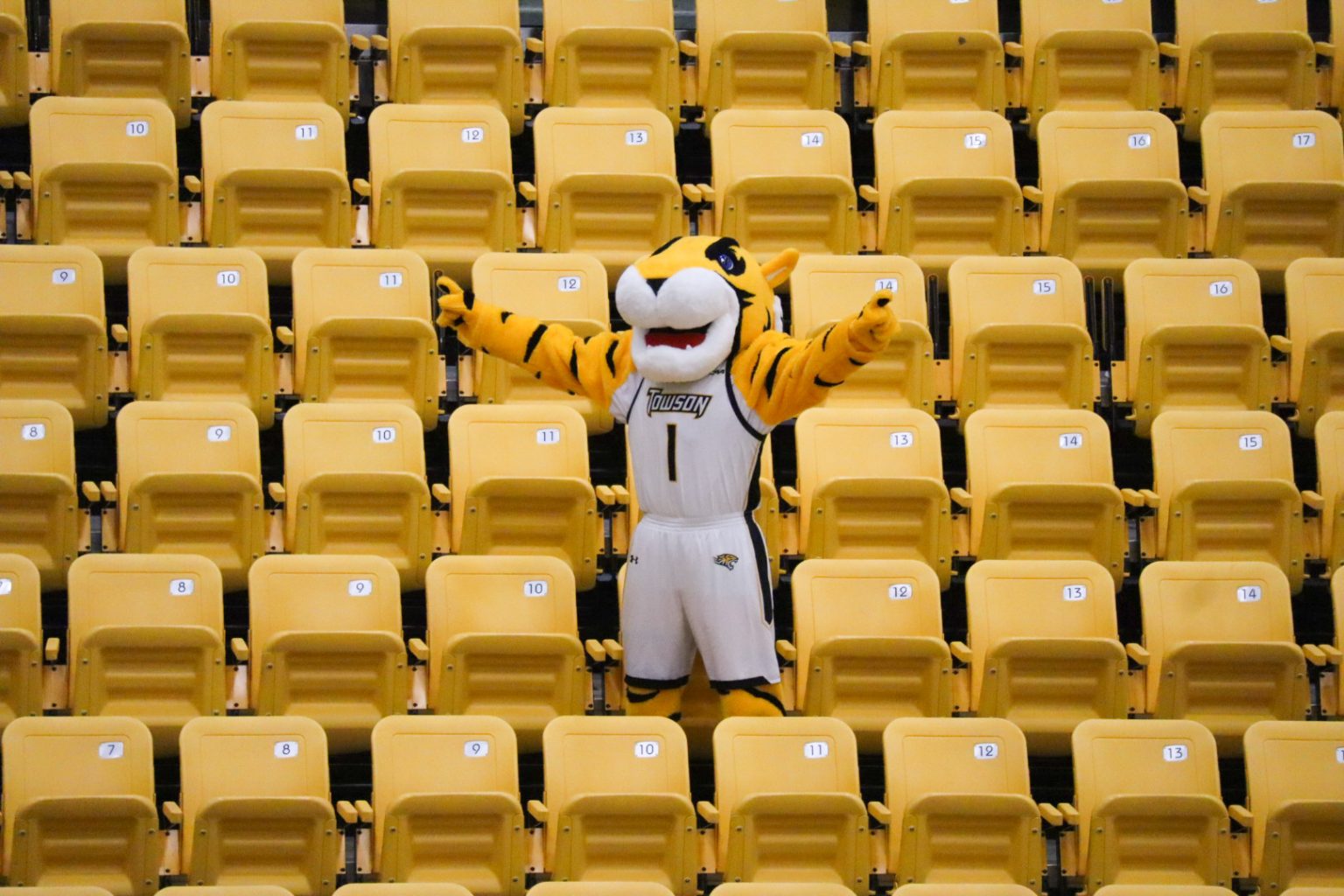 Style Diaries with Doc The Tiger