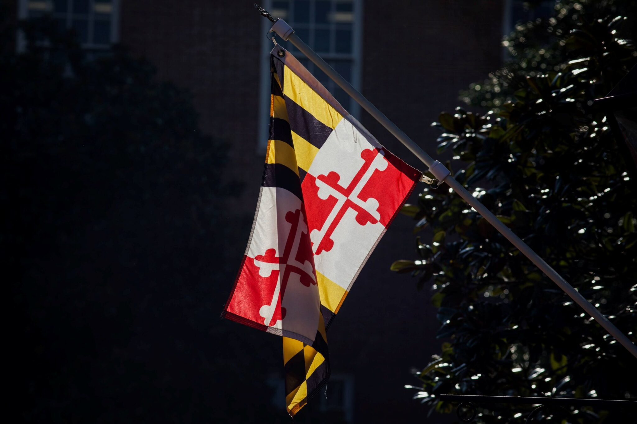 Rentals limited near Towson University in latest pilot program