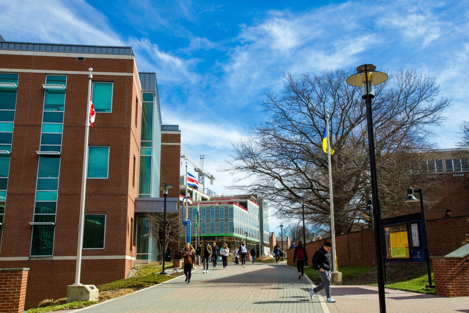 Maryland Supreme Court issues no opinion on 2021 Towson University ...